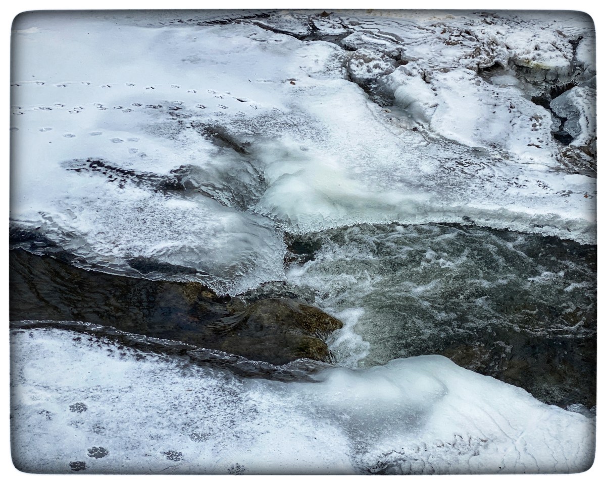 Winter Mornings And Good Movies – CIMPLE – A Curious Introvert's ...