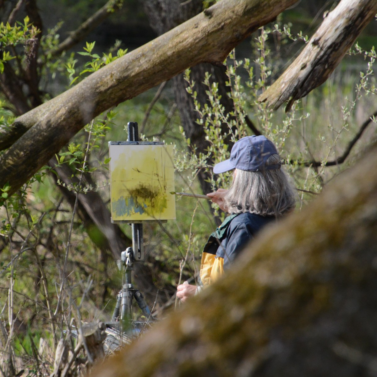 Silent Sunday – CIMPLE – A Curious Introvert's Musings & Photos about ...