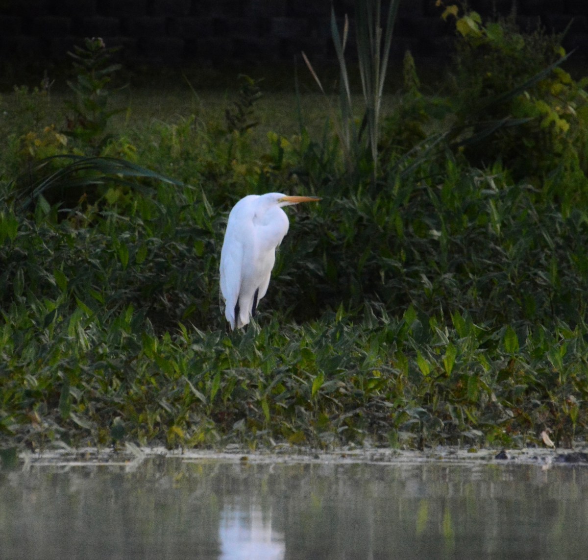 Not Only Wearing Grumpy Pants Today, I Have The Whole Outfit On And ...